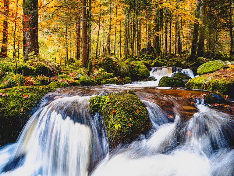 Michael Sauer FOTOGRAFIE – Landschaftsbilder vom Schwarzwald und Oberrhein