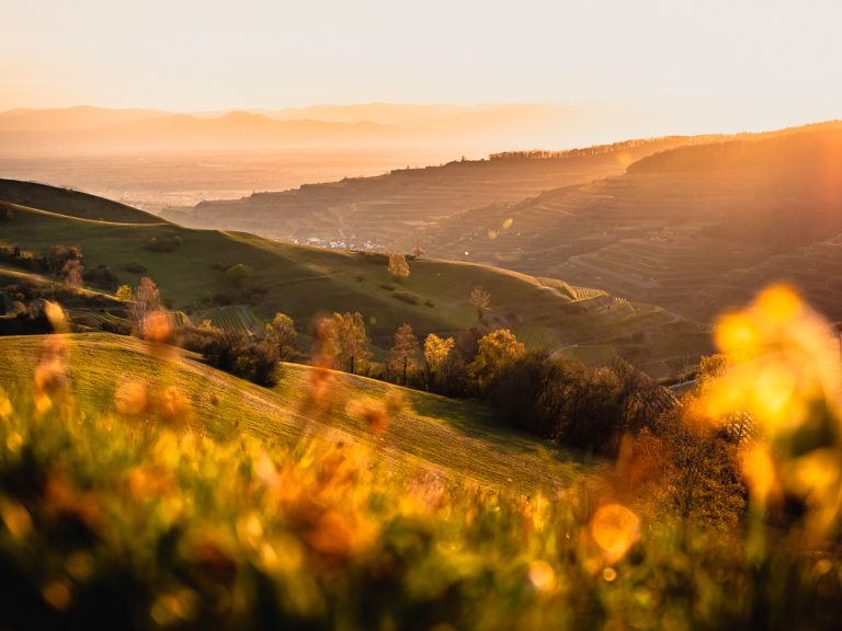 Michael Sauer FOTOGRAFIE – Landschaftsbilder vom Schwarzwald und Oberrhein