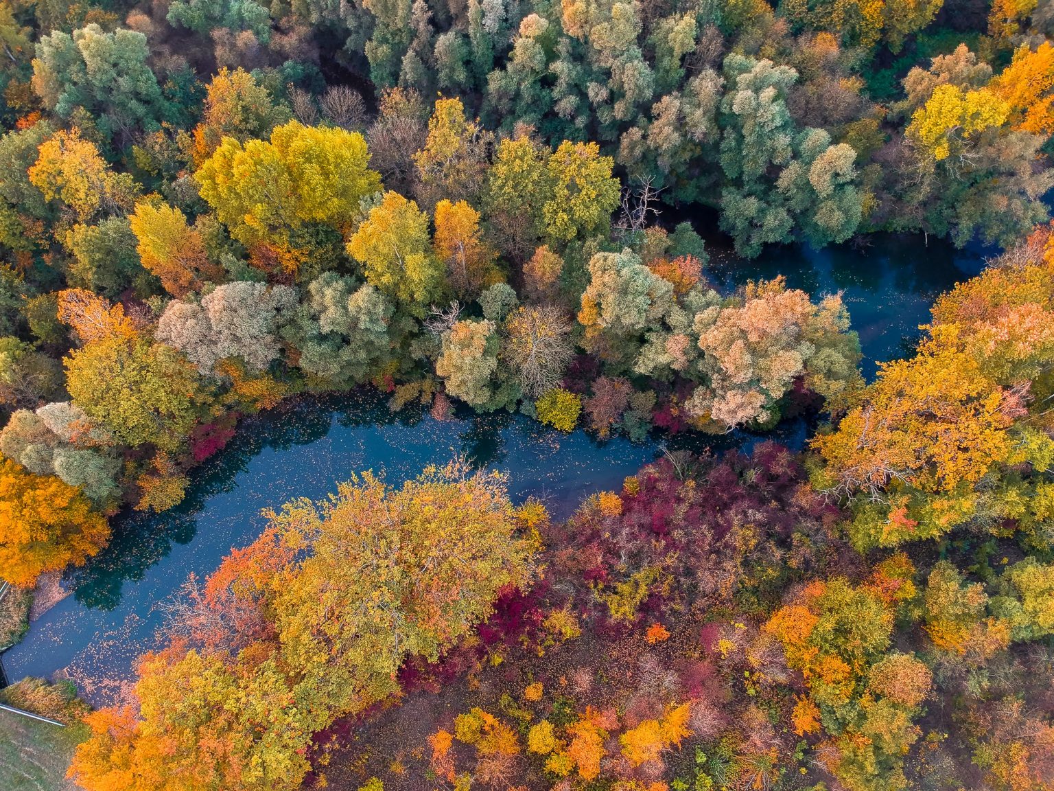 Michael Sauer FOTOGRAFIE – Landschaftsbilder vom Schwarzwald und Oberrhein