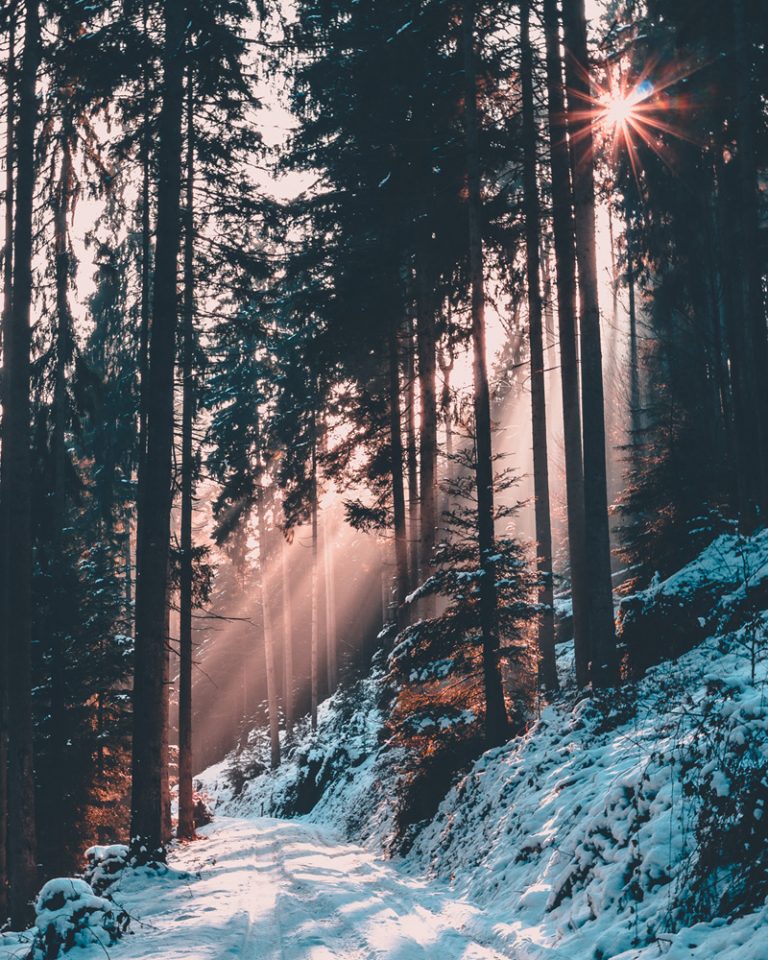 Michael Sauer FOTOGRAFIE – Landschaftsbilder vom Schwarzwald und Oberrhein
