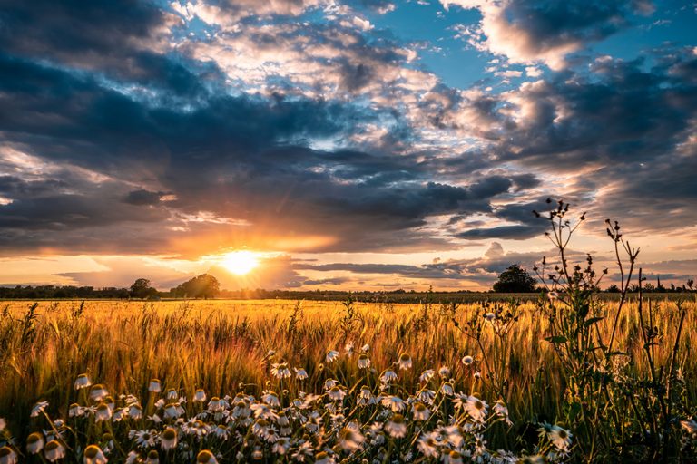 Michael Sauer FOTOGRAFIE – Landschaftsbilder vom Schwarzwald und Oberrhein