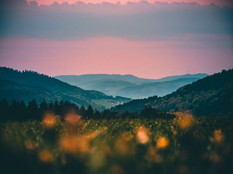Michael Sauer FOTOGRAFIE – Landschaftsbilder vom Schwarzwald und Oberrhein