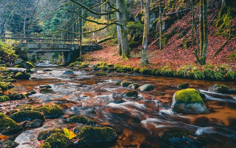 Michael Sauer FOTOGRAFIE – Landschaftsbilder vom Schwarzwald und Oberrhein