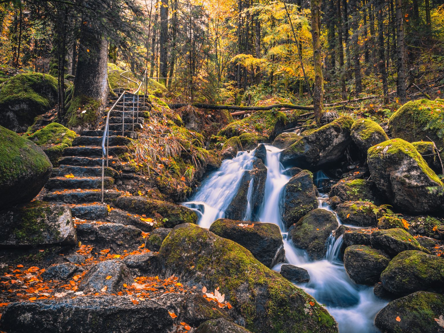Michael Sauer FOTOGRAFIE – Landschaftsbilder vom Schwarzwald und Oberrhein